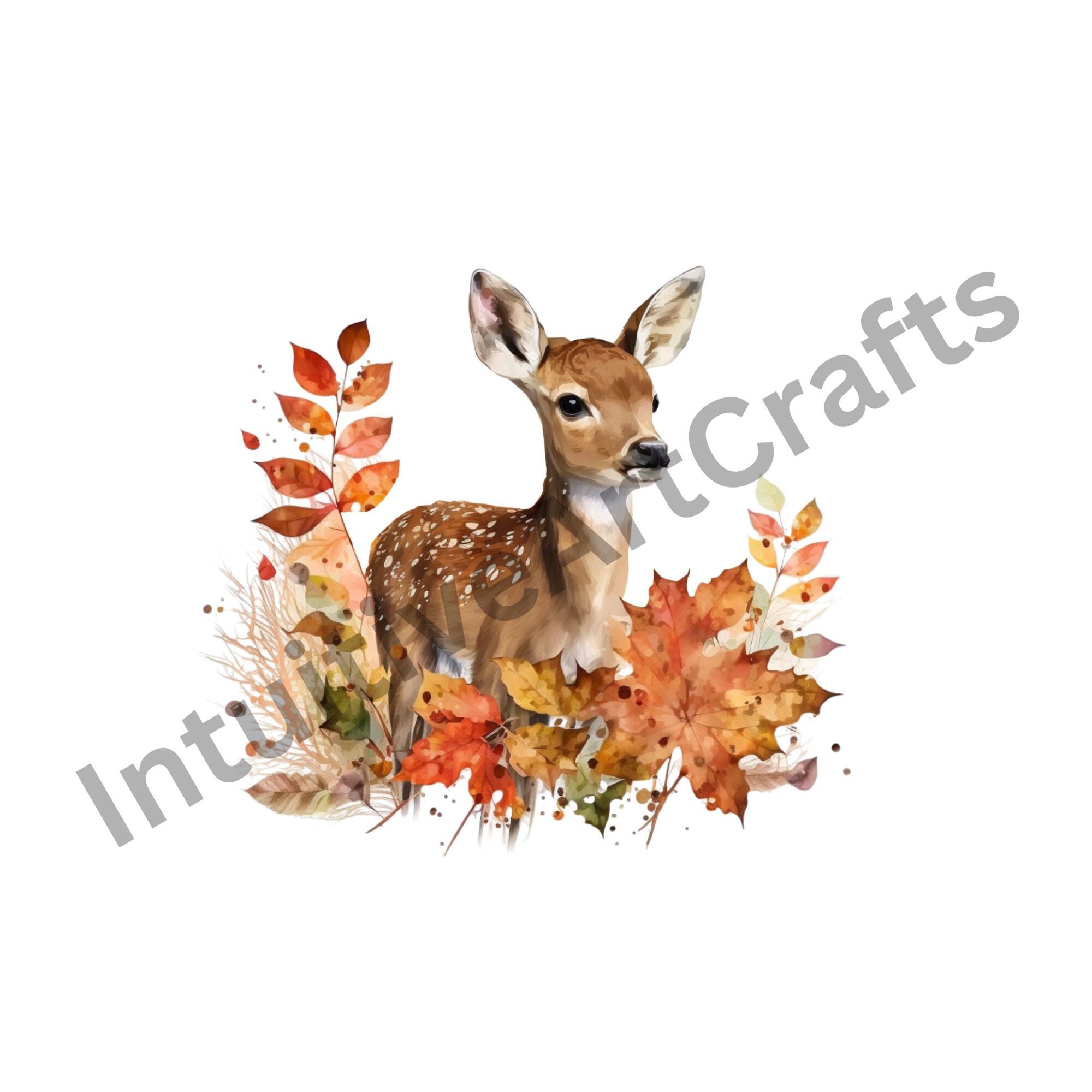 Autumn Woodland Watercolor Animal Clipart PNG Fall Floral Clipart for ...