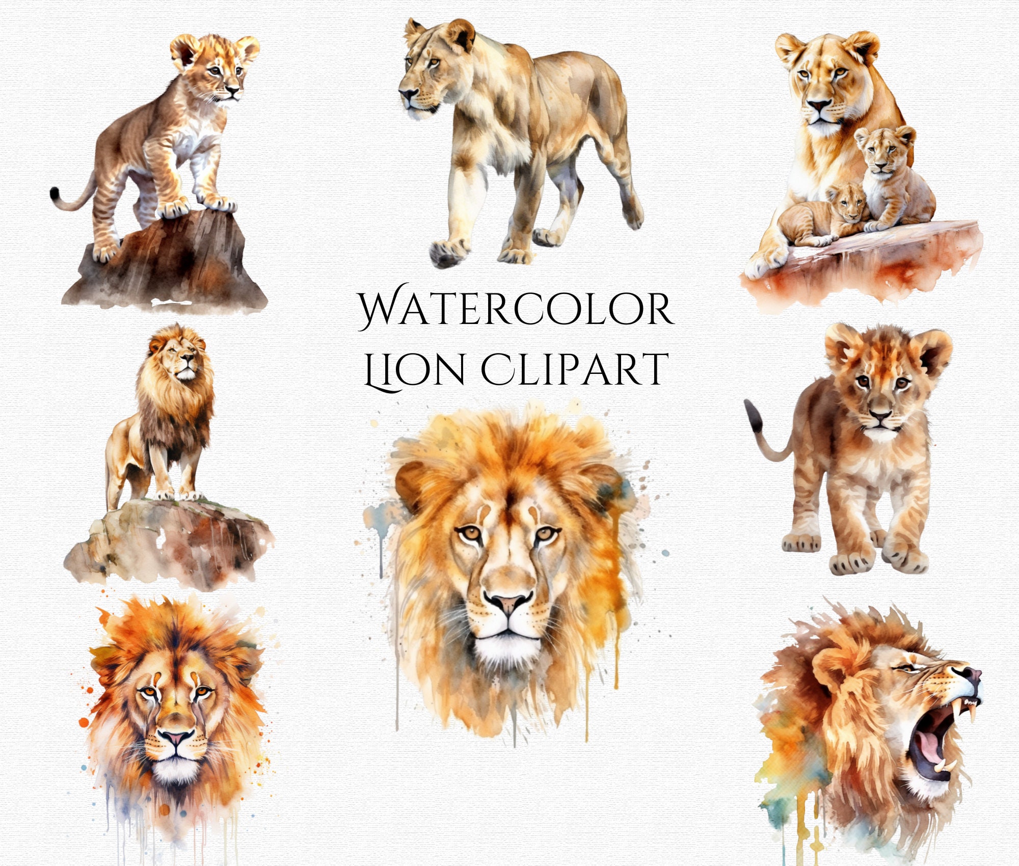 Father and Baby Lion Printable Clipart Safari Nursery Gift for Dad PNG ...