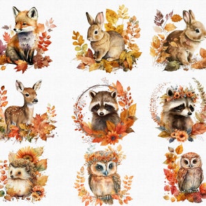 Autumn Woodland Watercolor Animal Clipart PNG Fall Floral Clipart for ...