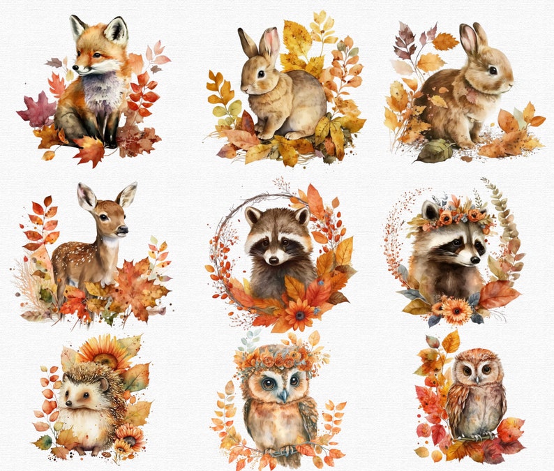 Autumn Woodland Watercolor Animal Clipart PNG Fall Floral Clipart for ...