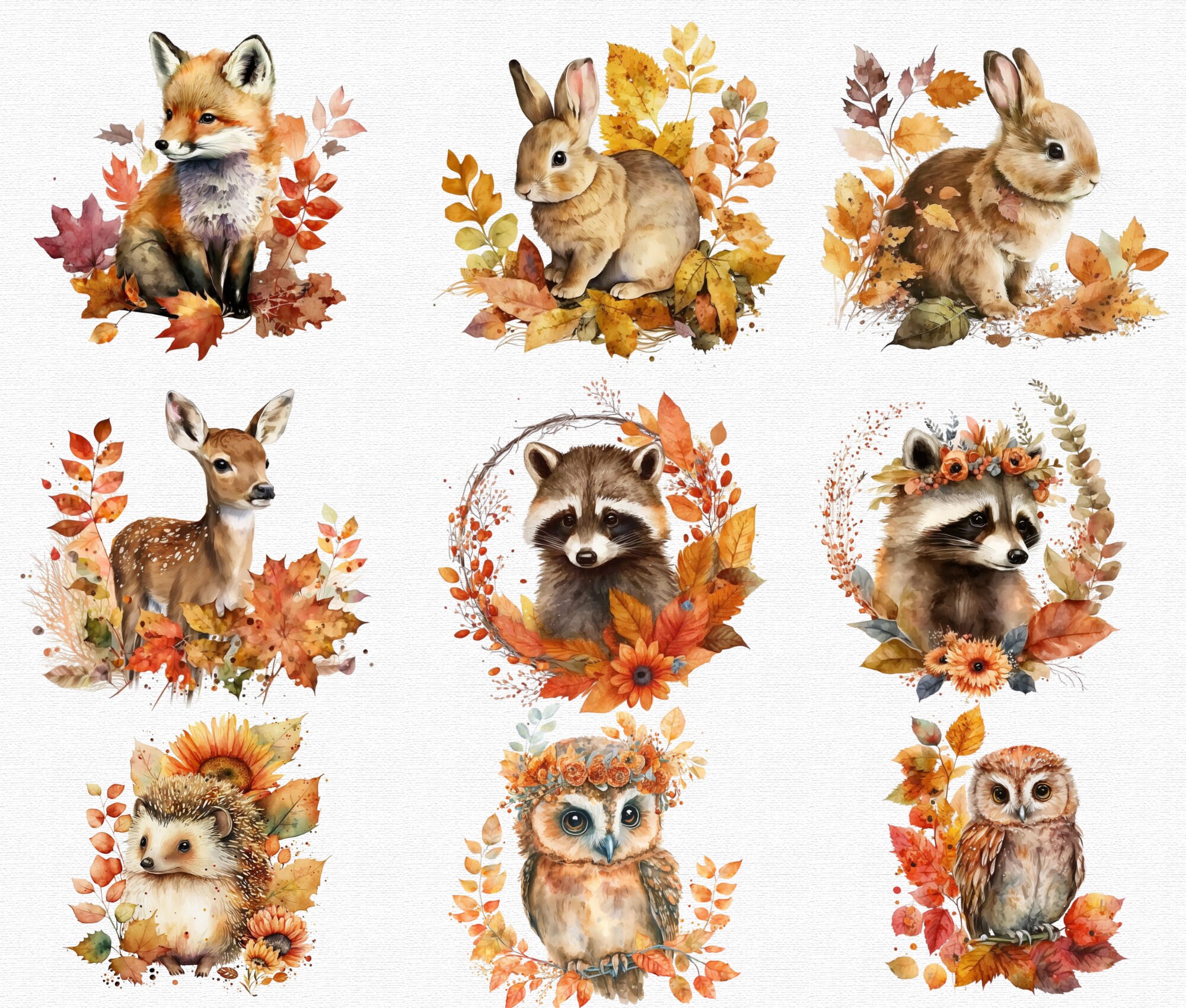 Autumn Woodland Watercolor Animal Clipart PNG Fall Floral Clipart for ...