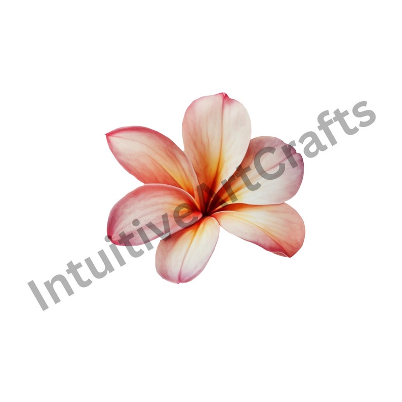 Watercolor Tropical Clipart Pack Summer Floral Tropical Elements ...