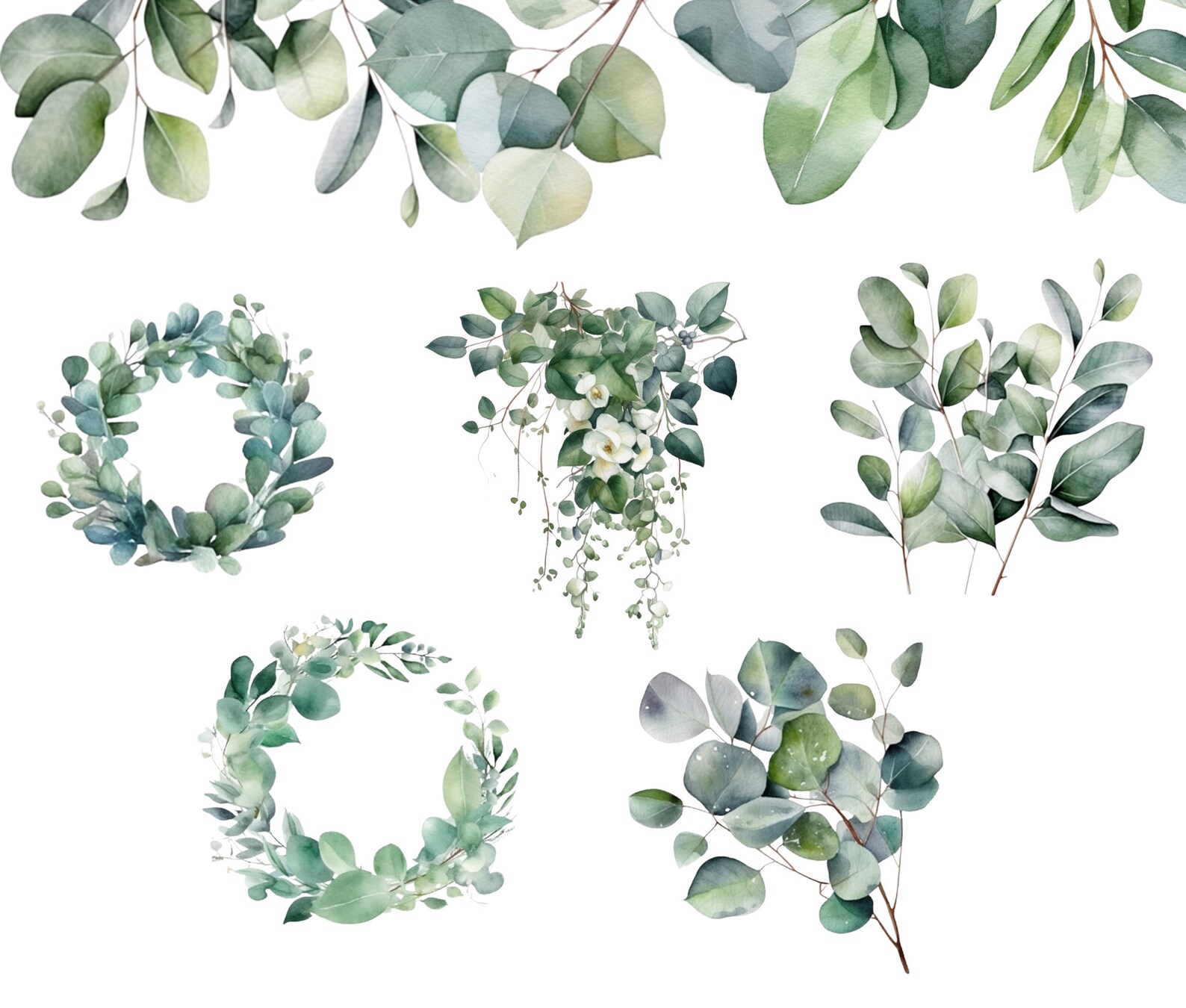 Watercolor Eucalyptus Clipart Floral Eucalyptus Elements Watercolor ...