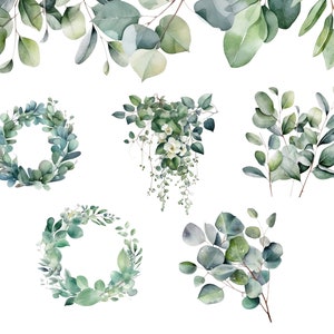 Watercolor Eucalyptus Clipart Floral Eucalyptus Elements Watercolor ...