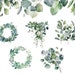 Watercolor Eucalyptus Clipart Floral Eucalyptus Elements Watercolor ...