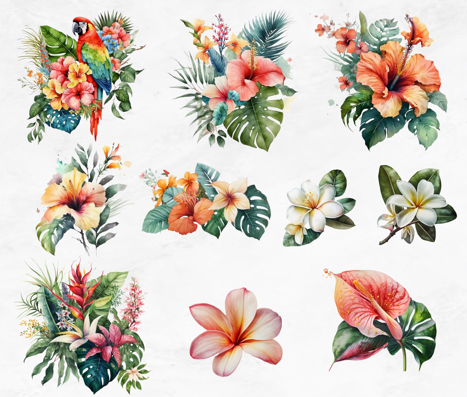 Watercolor Tropical Clipart Pack Summer Floral Tropical Elements ...