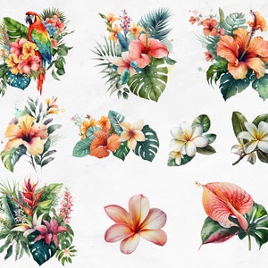 Watercolor Tropical Clipart Pack Summer Floral Tropical Elements ...