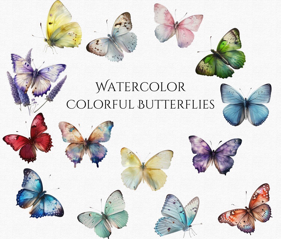 Floral Butterfly Watercolor Clipart Bundle Butterfly Illustration PNG ...