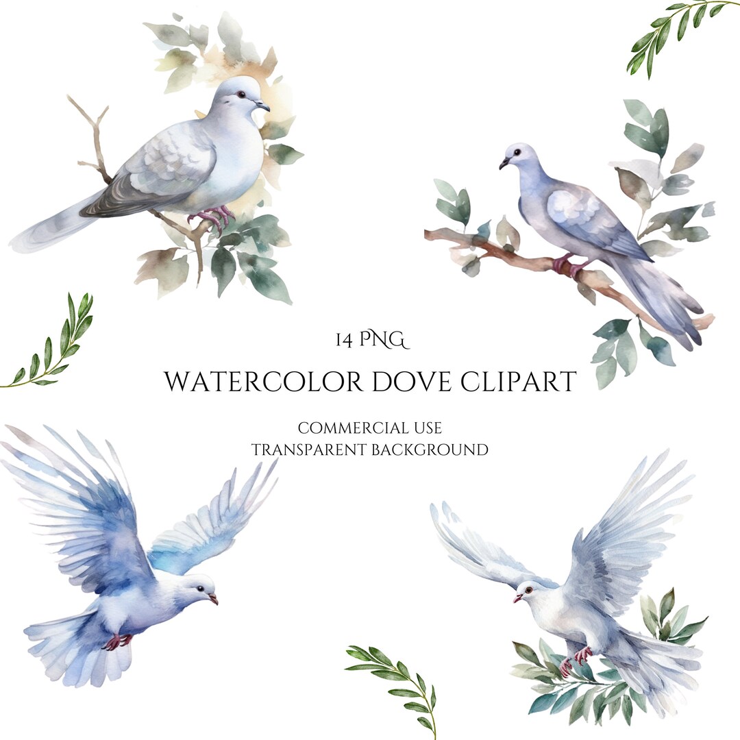Watercolor Dove Clipart Romantic White Doves Wedding Invitation Dove of ...