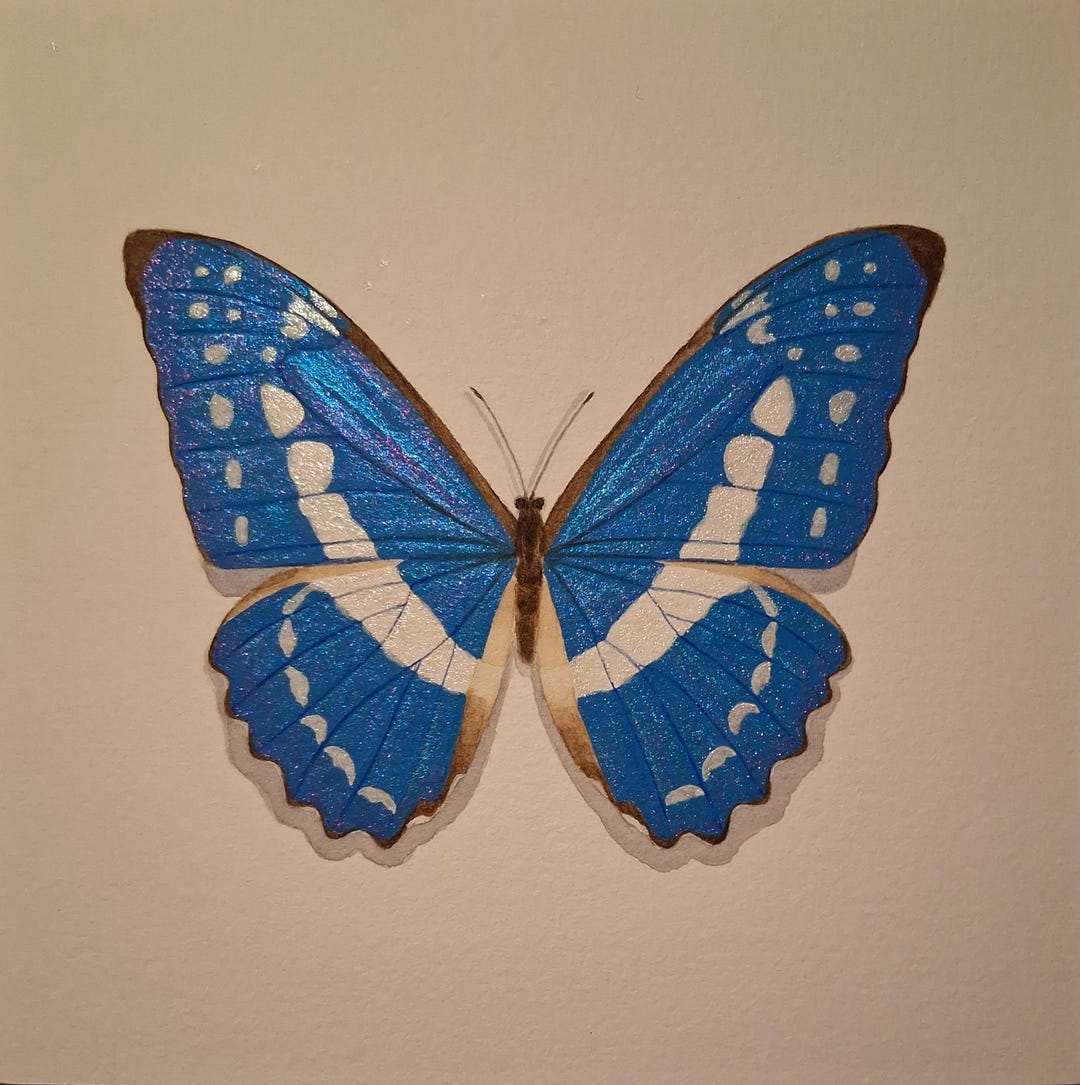 Hand-painted Watercolor: Butterfly Blue Morpho Helena - Etsy