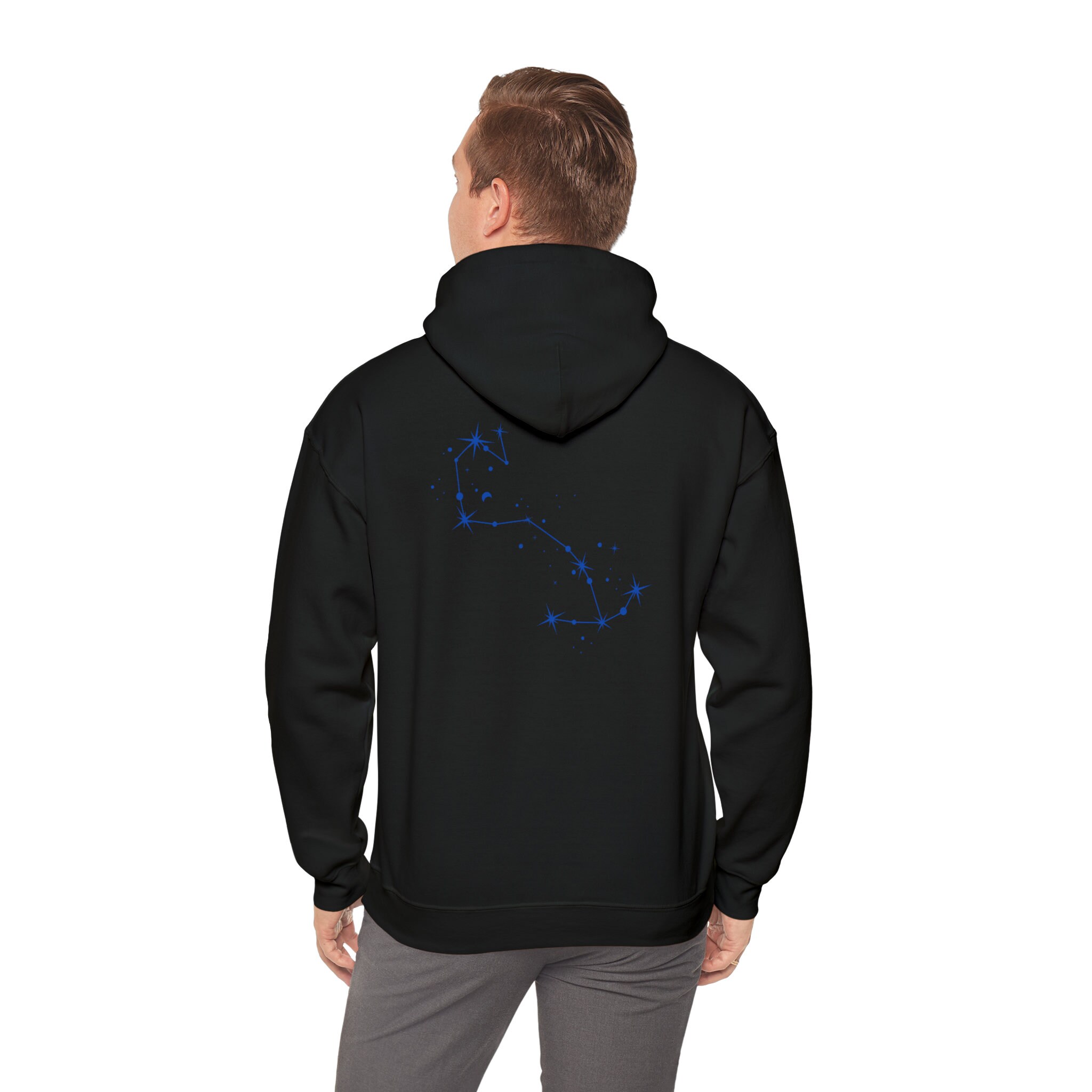 Zodiac Scorpio Sign Hoodie Scorpion Pullover Jacket Sweatshirt NEW ...