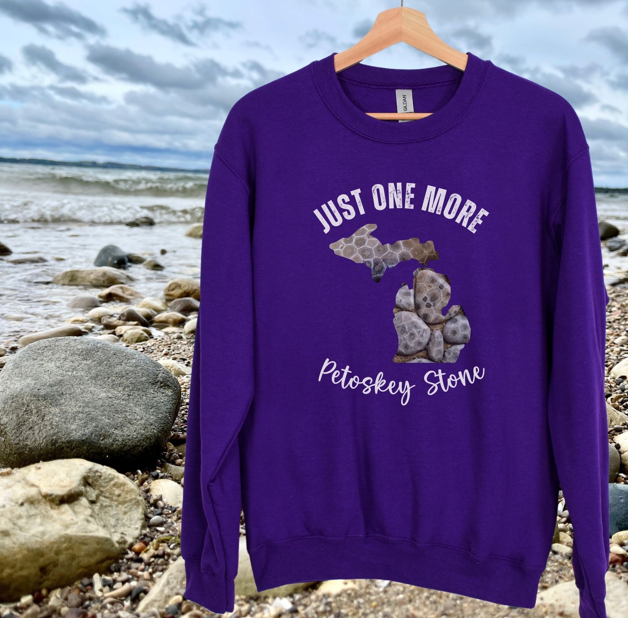 Michigan Rock Shirt, Petoskey Stone Shirt, Michigan Rocks Shirt ...