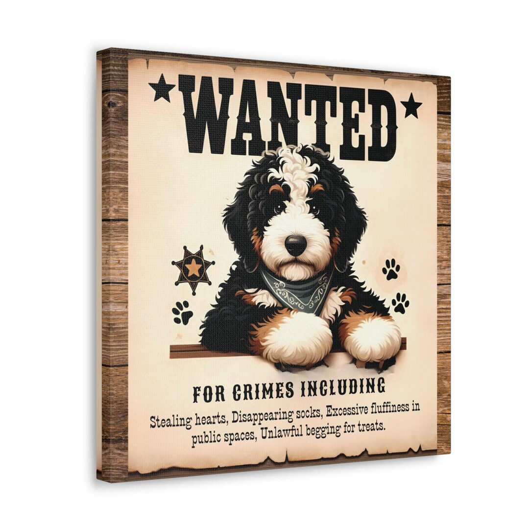 Bernedoodle Wanted Poster Canvas Gallery Wraps, Cute Dog Wanted Poster ...