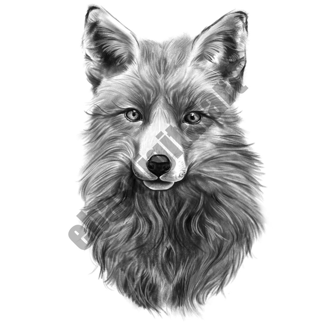 Fox Brush Drawing: Charcoal Portrait, Fox Clipart (digital Download ...