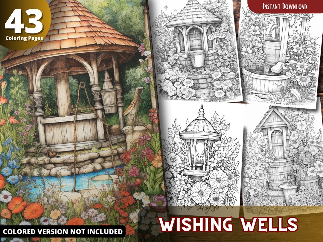 Wishing Well Coloring Pages for Adults and for Kids Grayscale Coloring ...