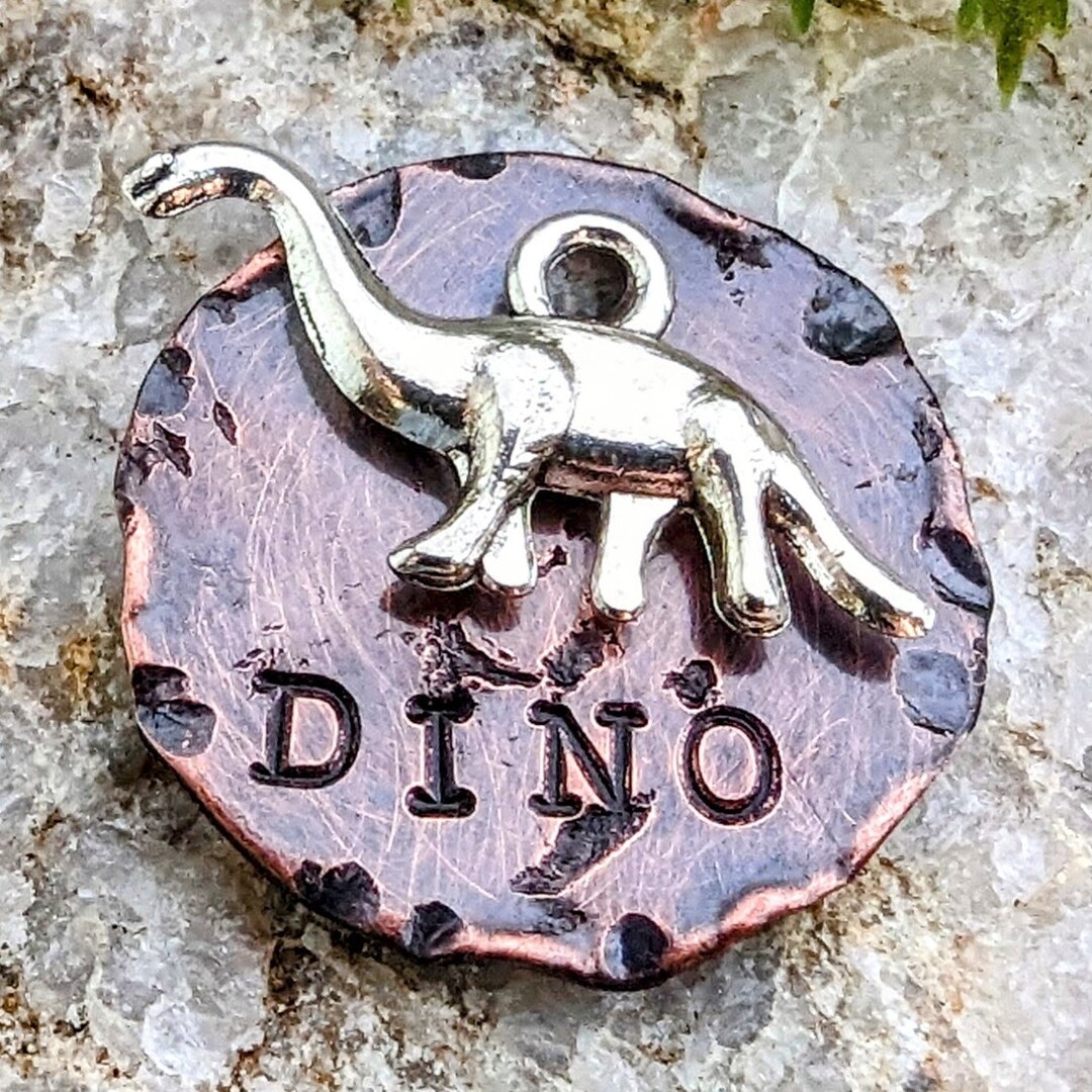 Dino Dog Tag, Dino Pet Tag, Keychain, Pet ID Tag, Pet Gift, Pet Bling ...