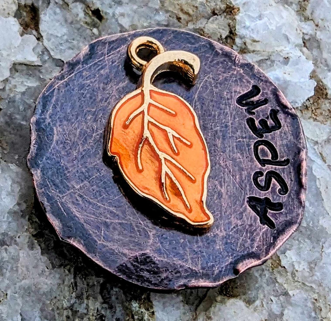 Aspen Dog Tag, Aspen Pet Tag, Orange Leaf, Cat Tag, Pet ID Tag, Pet ...