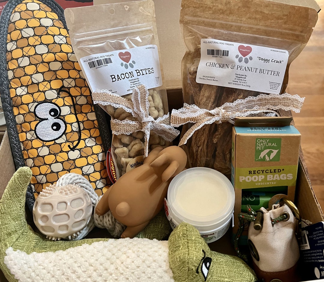 Big Box! Puppy Gift - New Dog Owner - Dog Care Package - Dog Birthday ...
