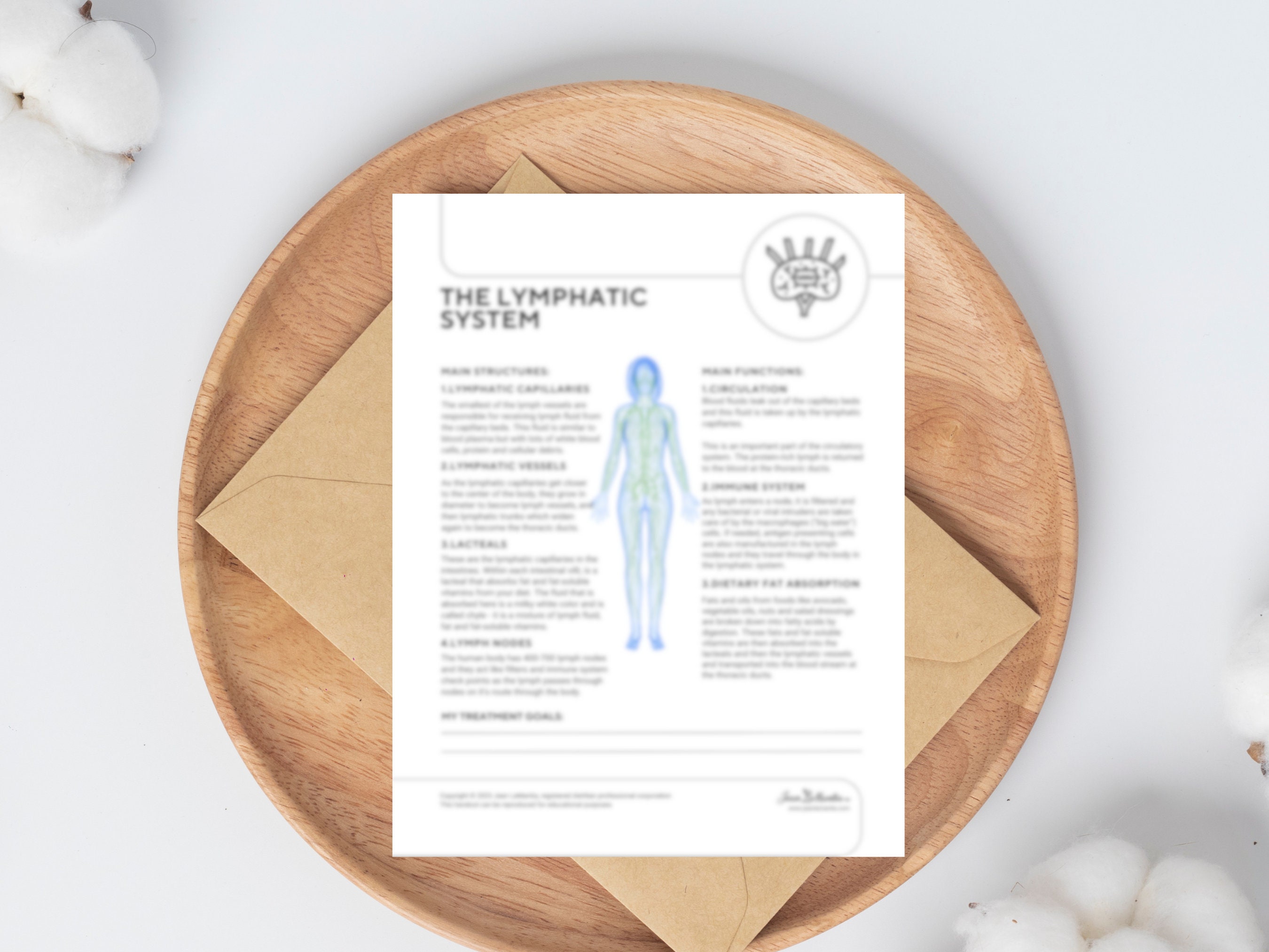 The Lymphatic System Teaching Tool Template - Etsy