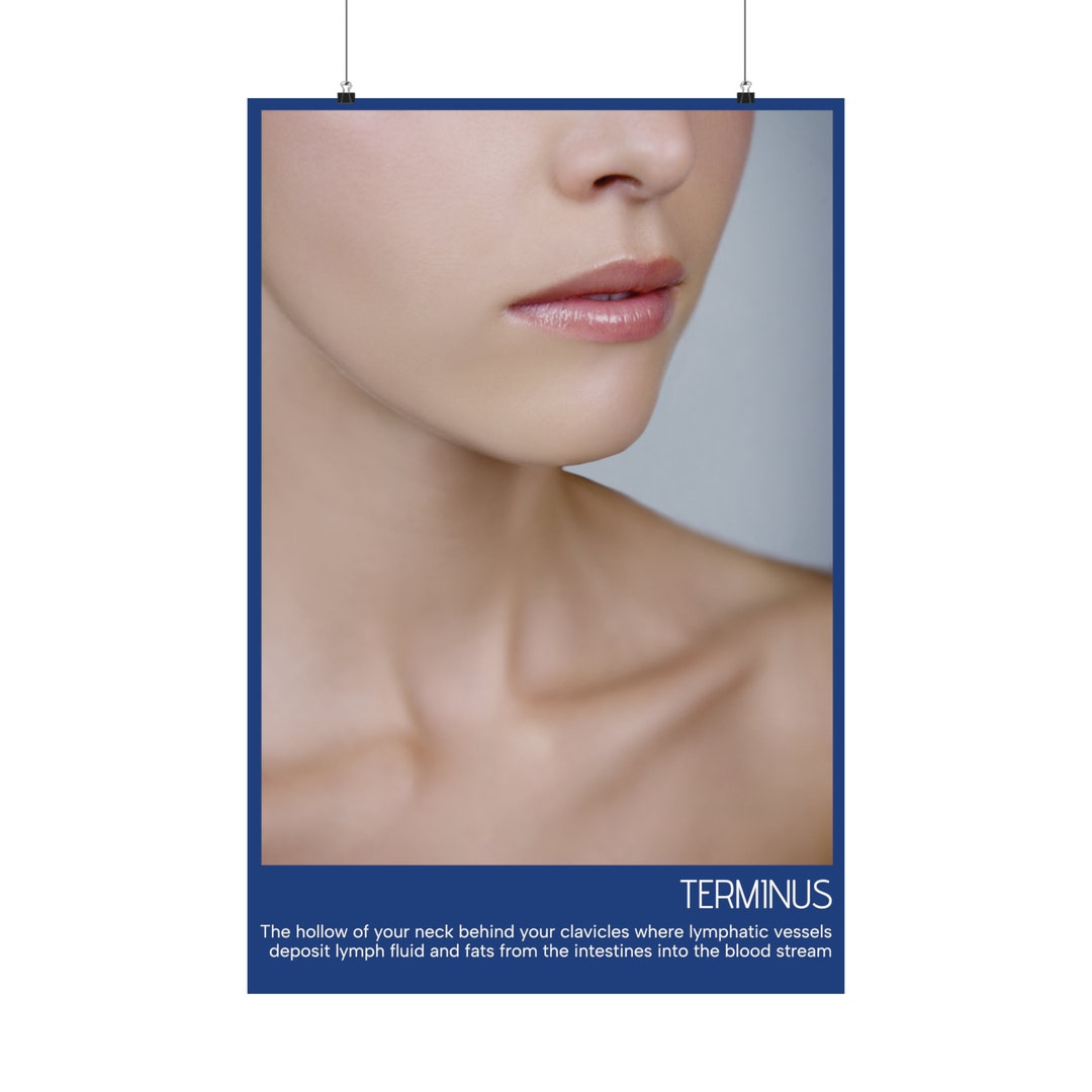 Terminus Lymphatic System Matte Vertical Posters - Etsy