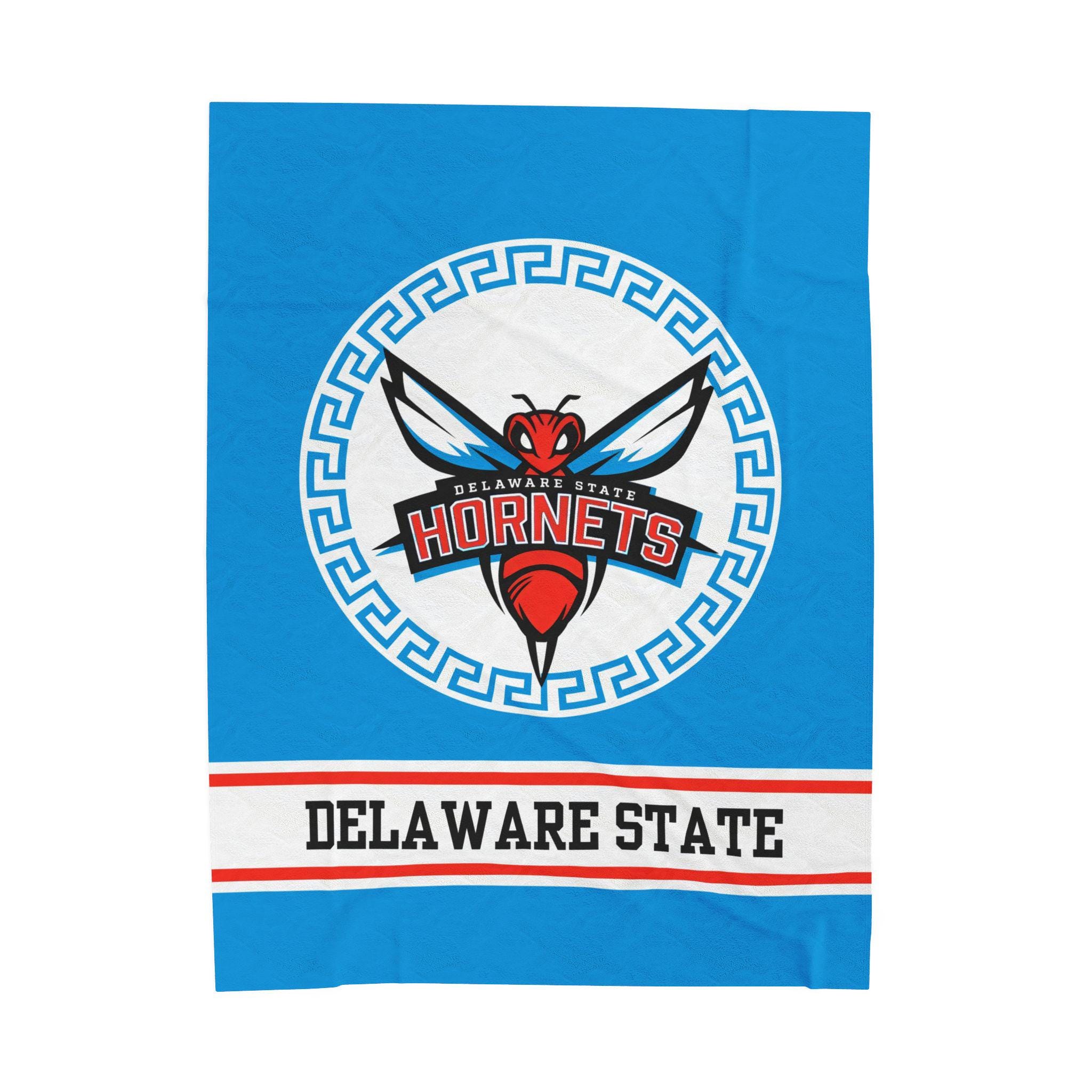 Delaware State University Blanket- DSU Blanket Gift for Grad Alumni ...