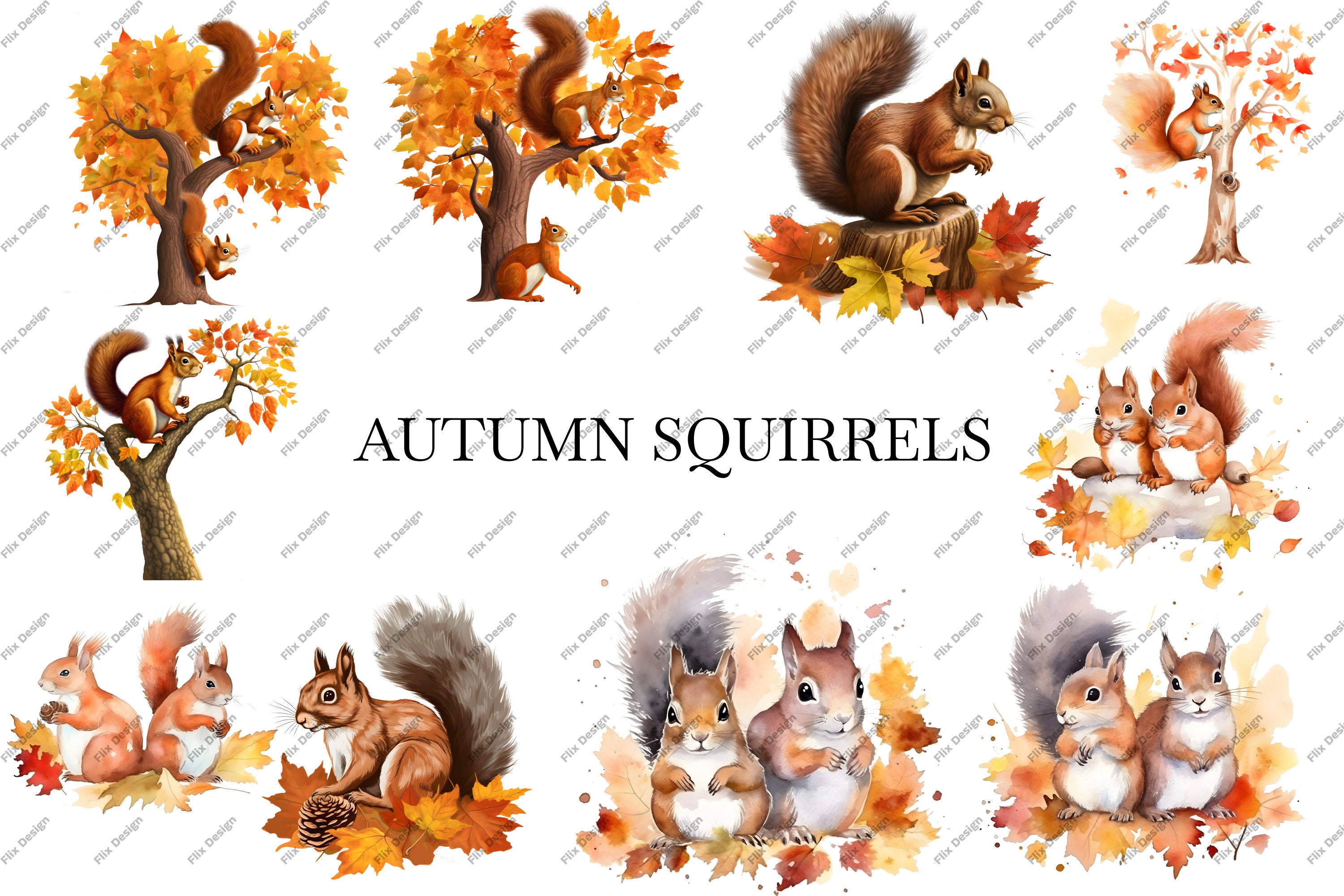 Squirrel Clipart Bundle 10 Pngs Cute Squirrels Clipart - Etsy