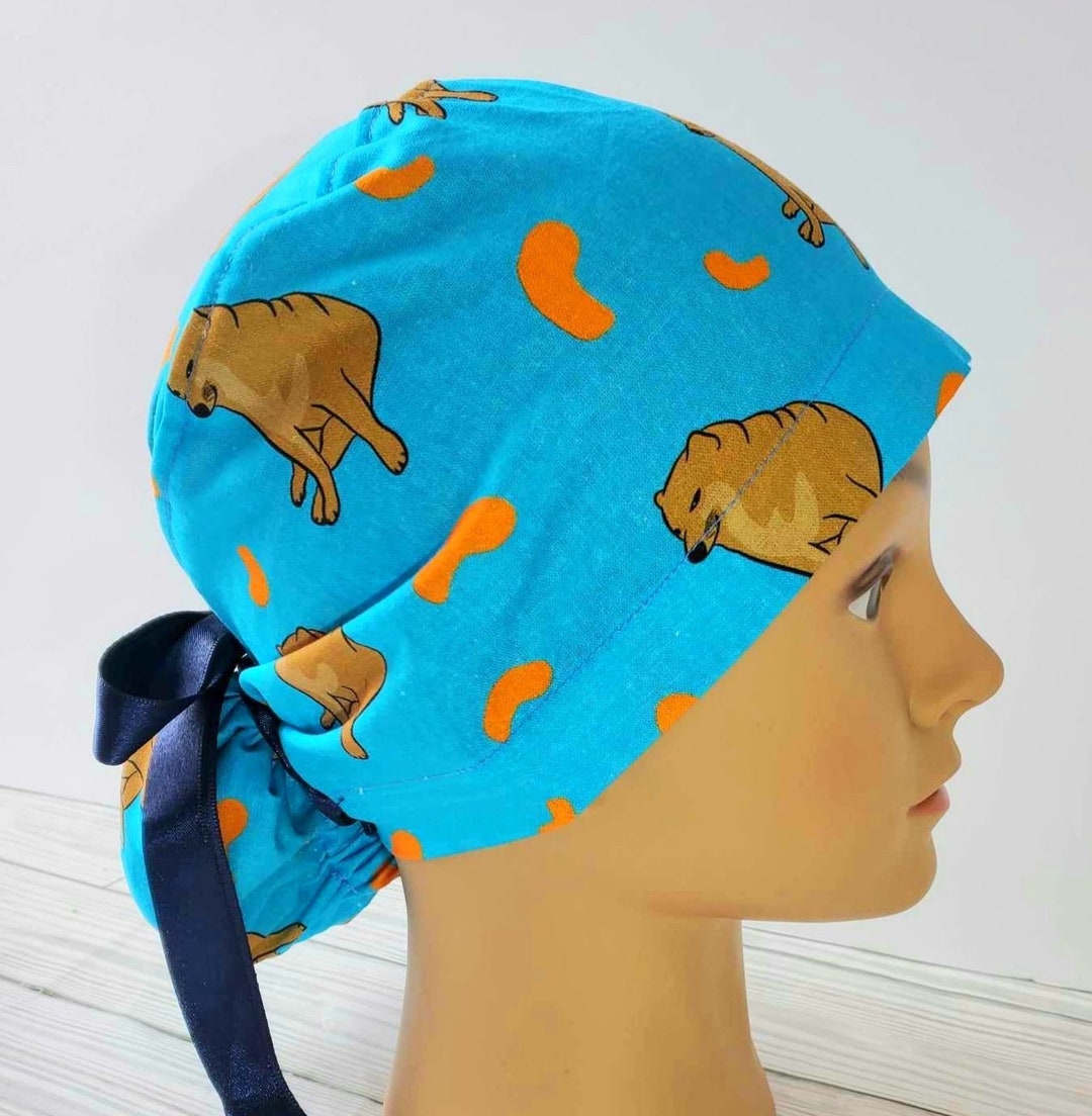 Scrub Cap Dog Meme,scrub Cap Comic,scrub Cap Surgical,scrub Cap Meme ...