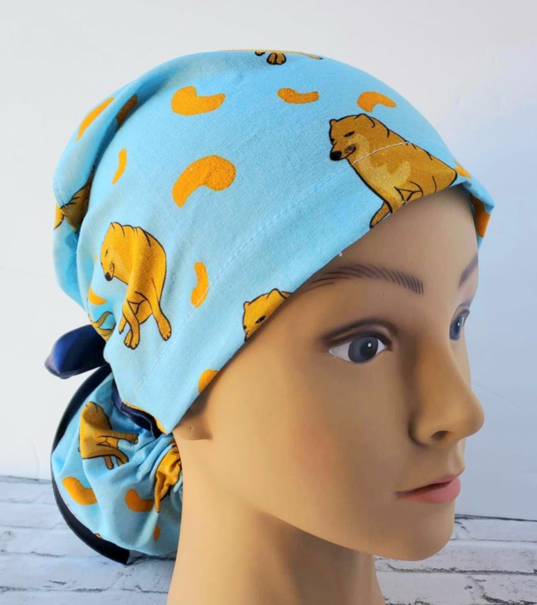 Scrub Cap Dog Meme,scrub Cap Comic,scrub Cap Surgical,scrub Cap Meme ...