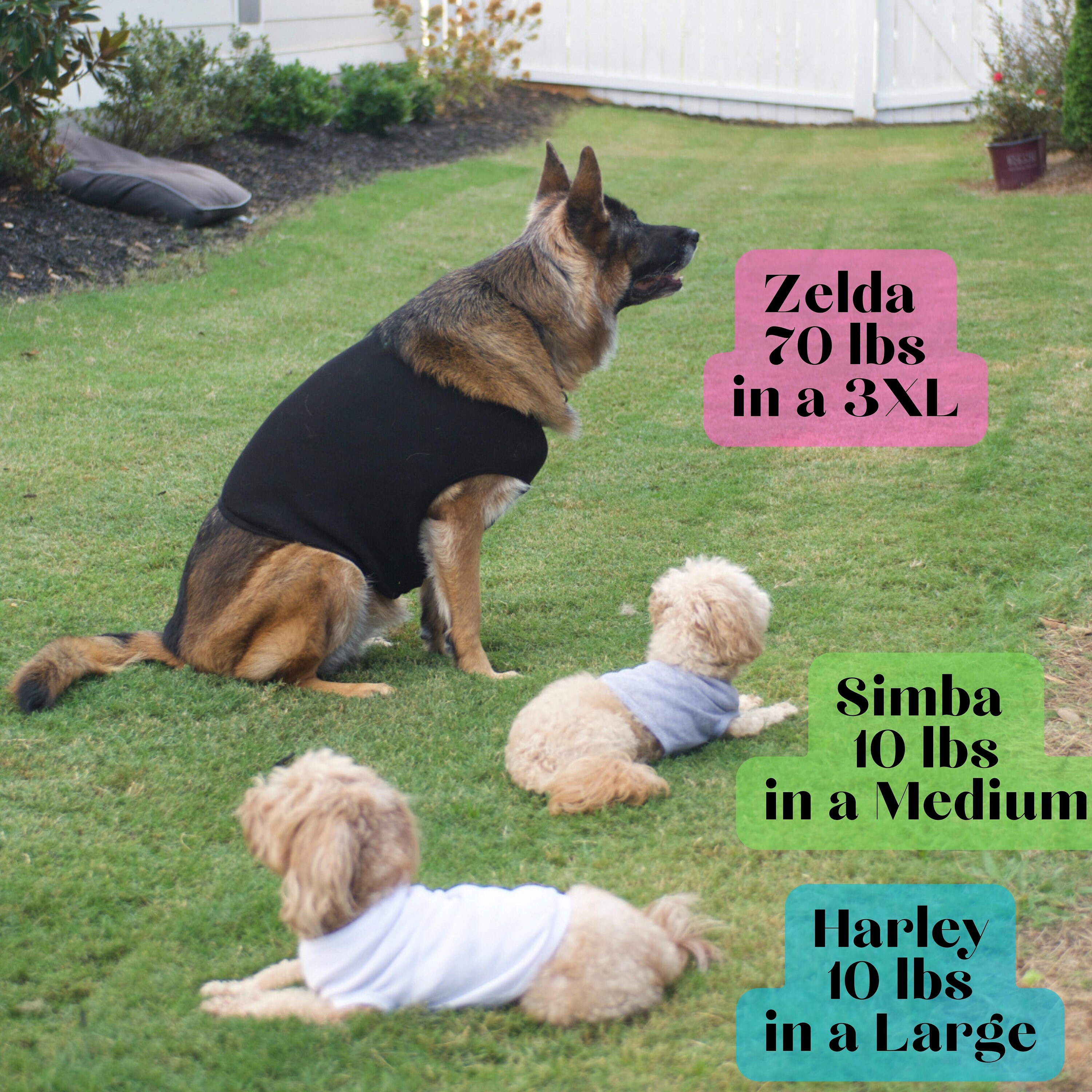 The Boss Dog Shirt, Matching Dog and Owner Outfit, Dog Shirt, Fur Baby ...