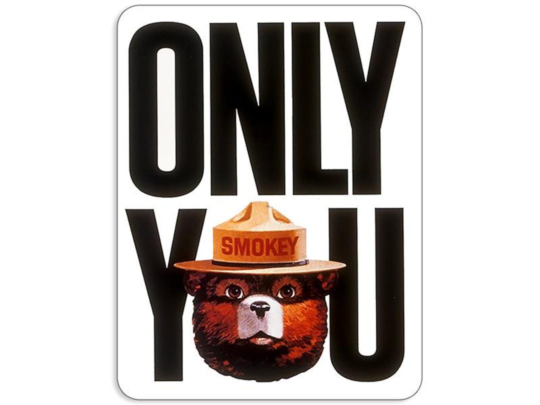 3 Inch ONLY YOU Smokey Bear Face Sticker (hike Camp Smoky Us Car Decal ...