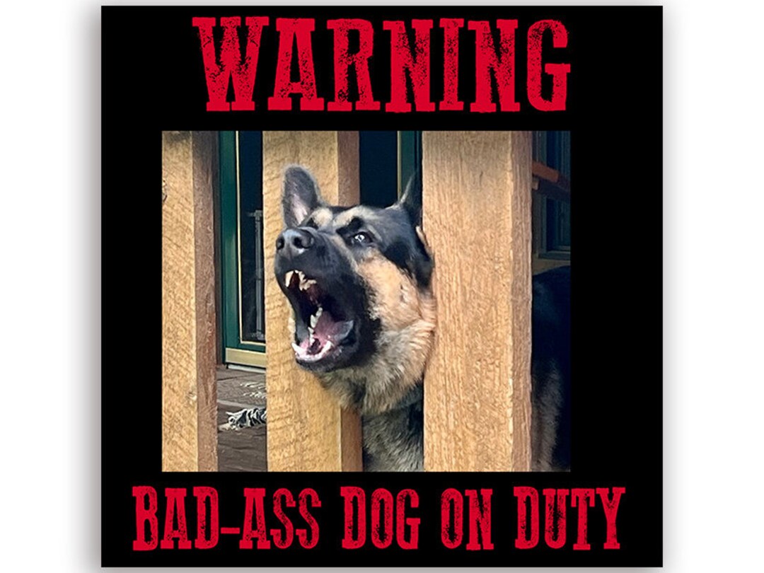 4x4 Inch WARNING Bad-ass Dog on Duty Sticker shepherd Vicious Canine ...