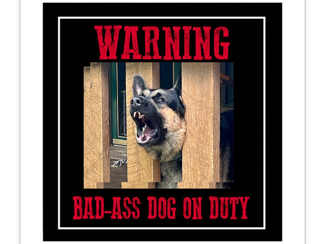 4x4 Inch WARNING Bad-ass Dog on Duty Sticker shepherd Vicious - Etsy