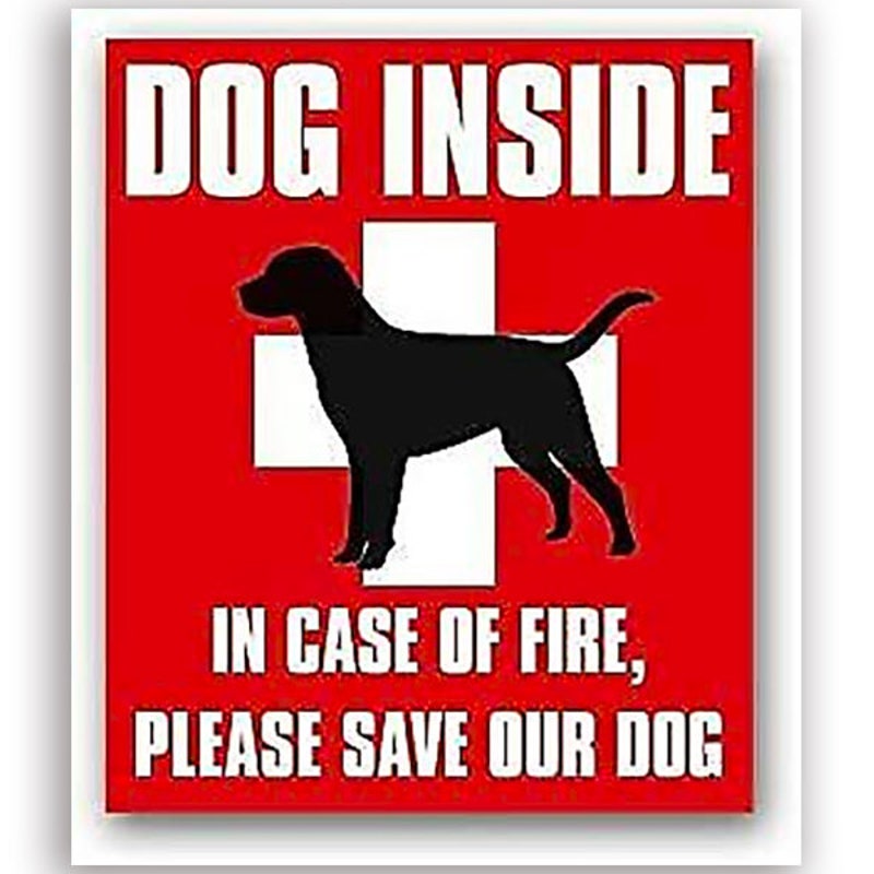 Pet Inside Sticker - Etsy