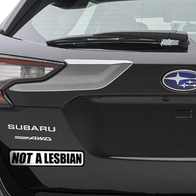 Not a Lesbian Car Sticker - Etsy