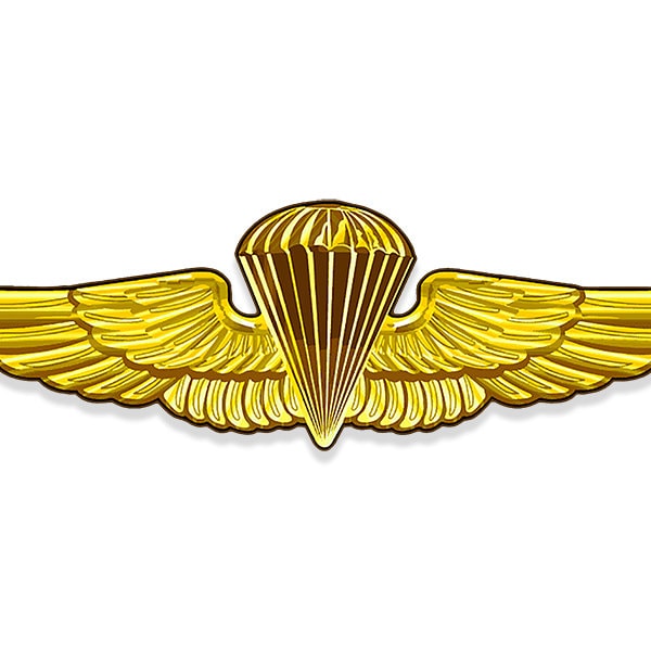 Usmc Jump Wings - Etsy