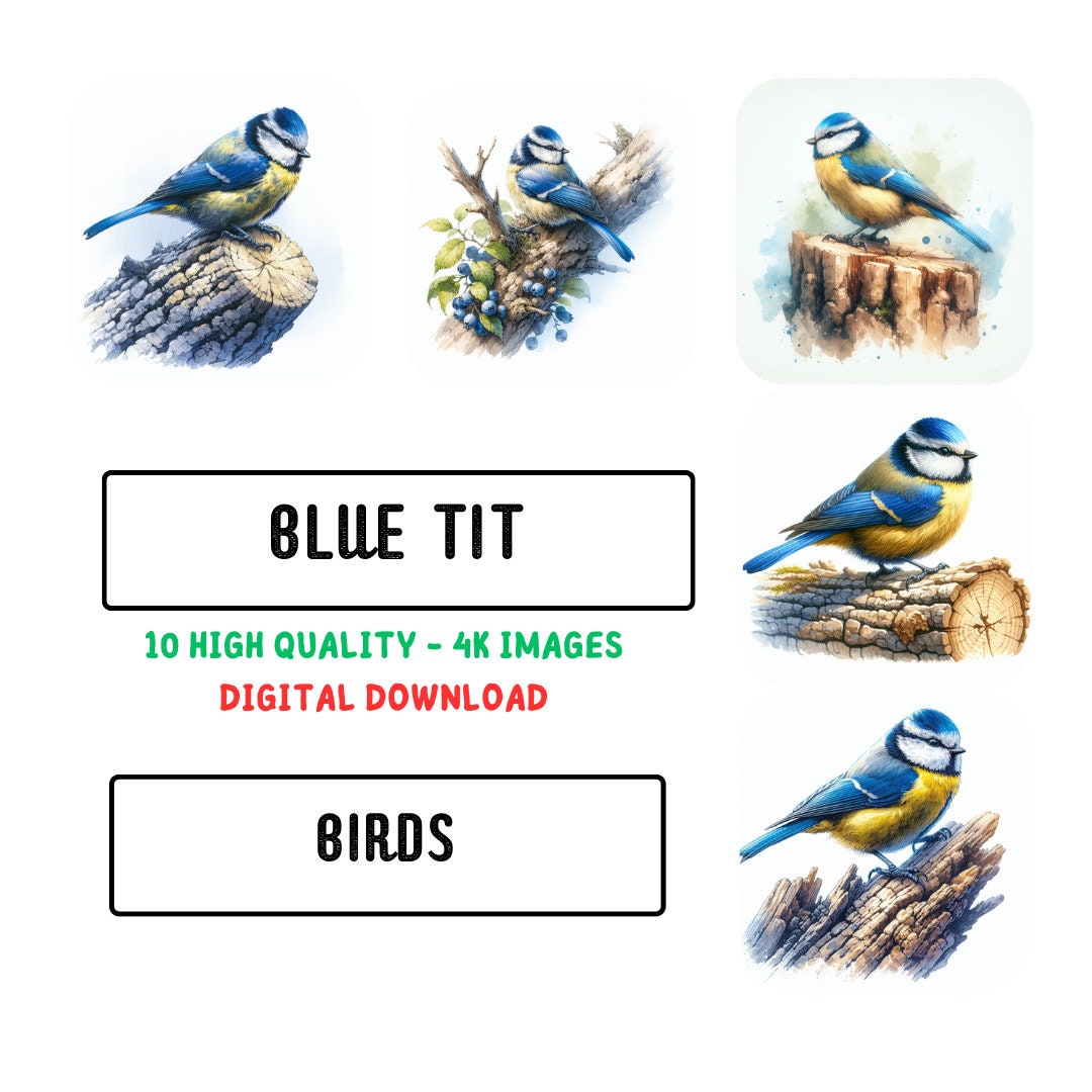 10 Blue Tit Bird Clipart Bundle 4K Png, Digital Download, Scrapbook ...