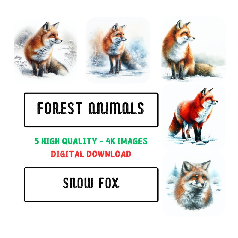 5 Winter Fox Clipart Pack 4K Png, Winter Image Art, Digital Crafts ...