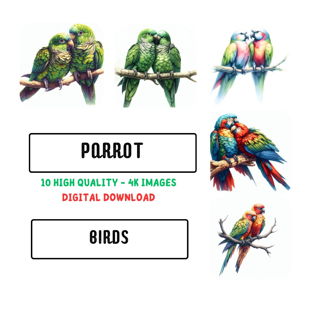 10 Parrot Bird Bundle Clipart 4K Png, Digital Download, Collage Images ...