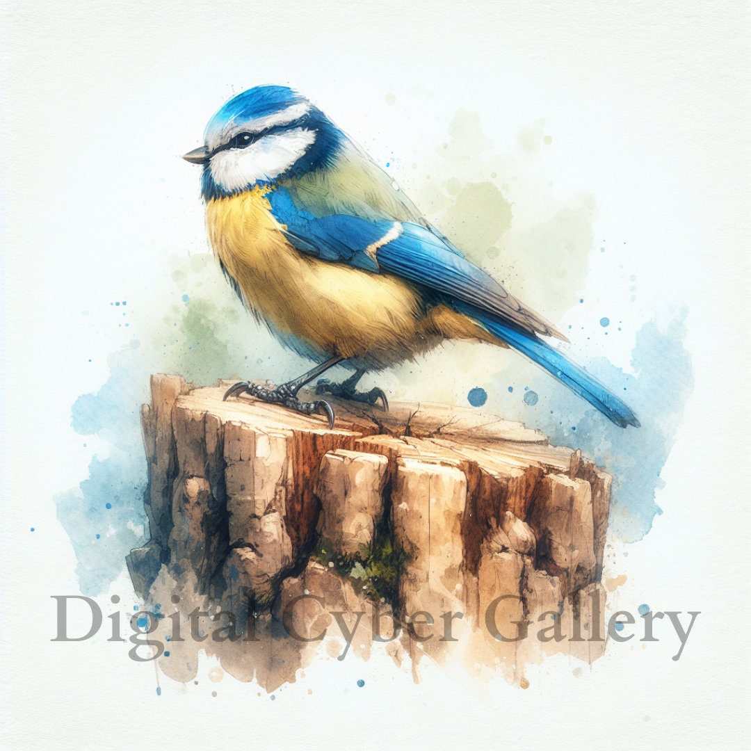 10 Blue Tit Bird Clipart Bundle 4K Png, Digital Download, Scrapbook ...