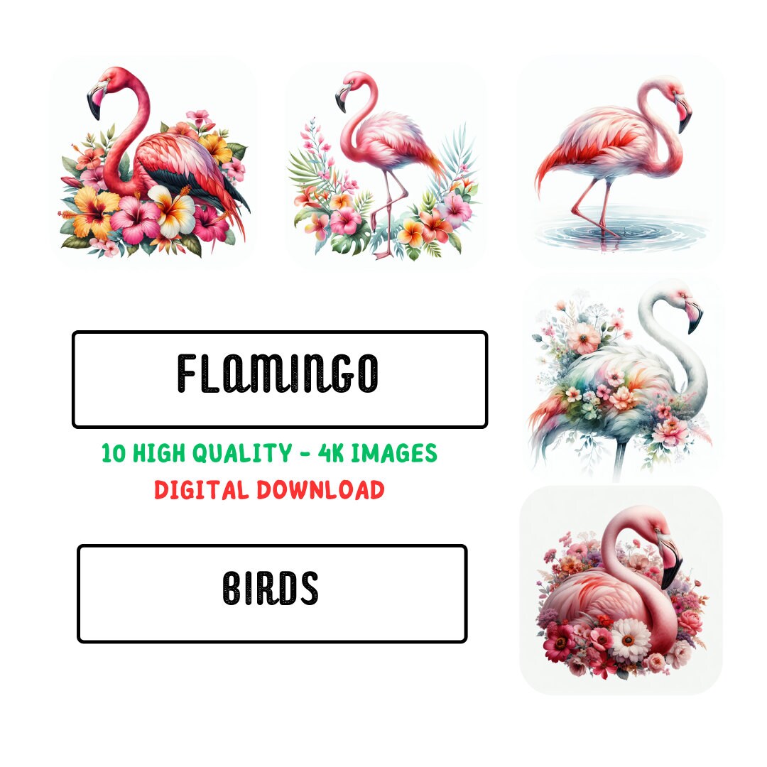 10 Flamingo Bird Clipart Bundle 4K Png, Digital Download, Collage Pack ...