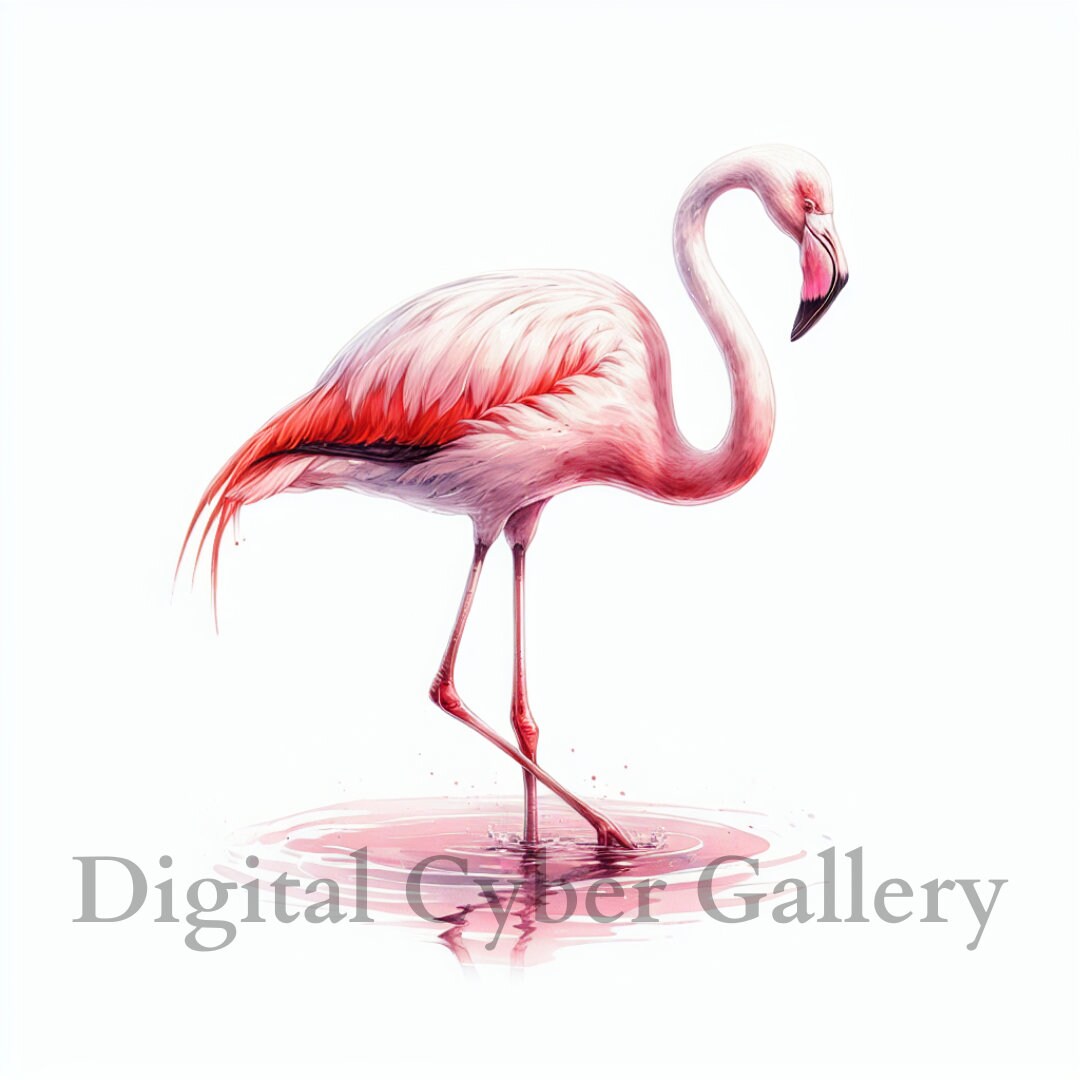 10 Flamingo Bird Clipart Bundle 4K Png, Digital Download, Collage Pack ...