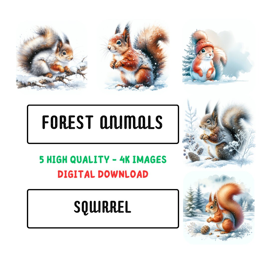 5 Cute Squirrel in the Winter Pack Clipart 4K Png, Digital Download ...
