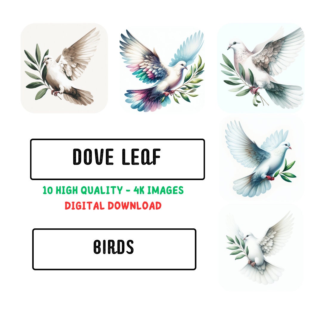10 Dove With Olive Leaf Clipart Bundle 4K Png, Digital Download ...
