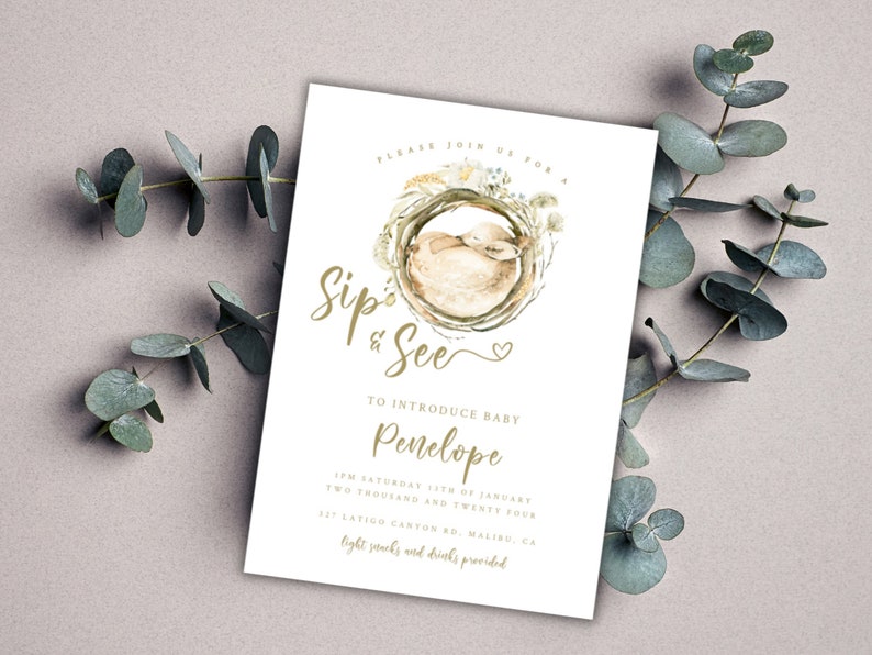 Sip and See Invitation, Gender Neutral, Meet & Greet Invitation, Baby ...
