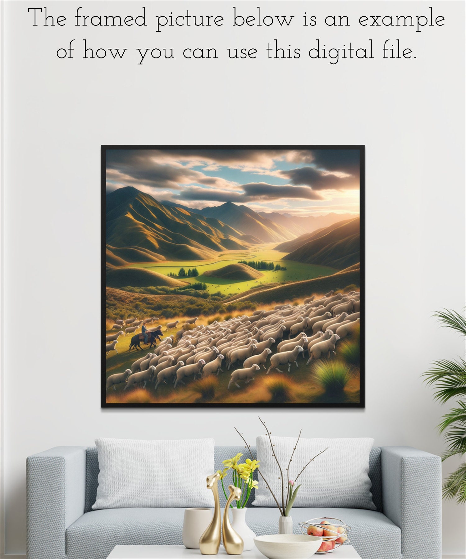 Sheep Mustering in the High Country of New Zealand. Rustic New Zealand ...