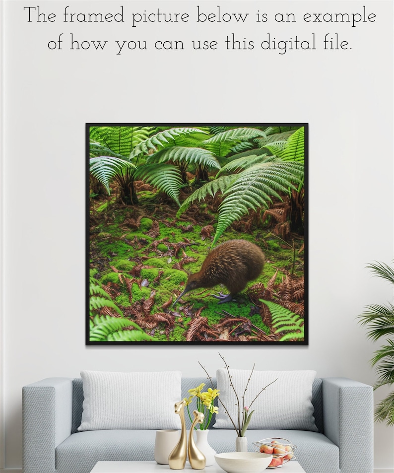 New Zealand Adult Kiwi Foraging in a Fern Forest. New Zealand Fern ...