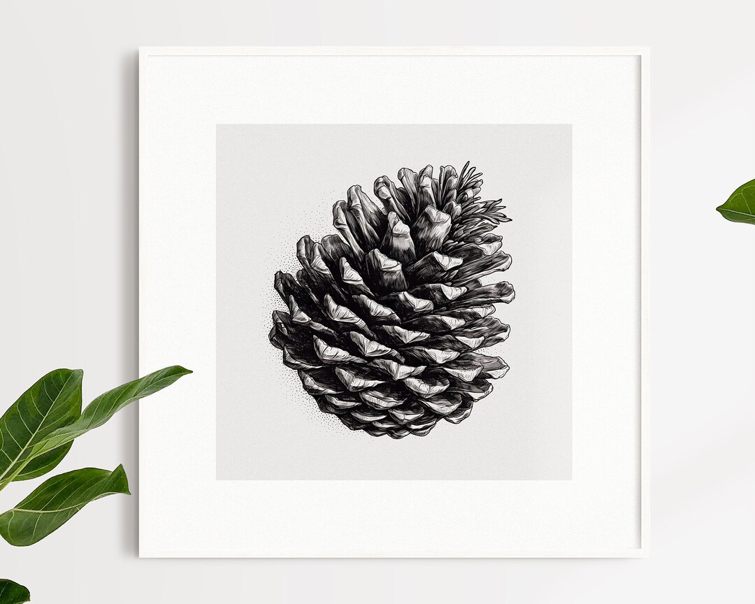 Cone Printable Square Wall Art, Vintage Cone Digital Print, Cone ...
