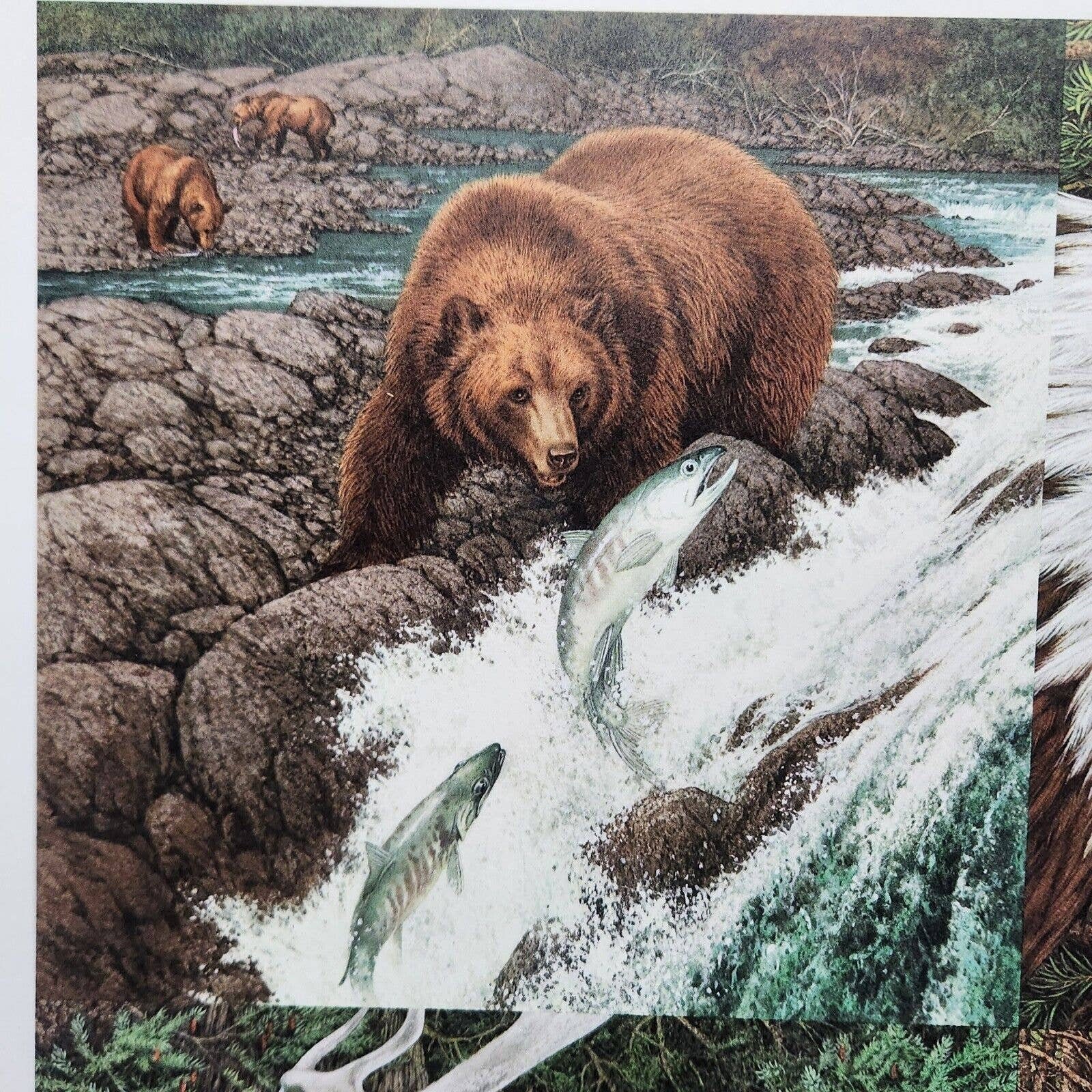 Bev Doolittle Limited Edition Signed Print sacred Circle - Etsy