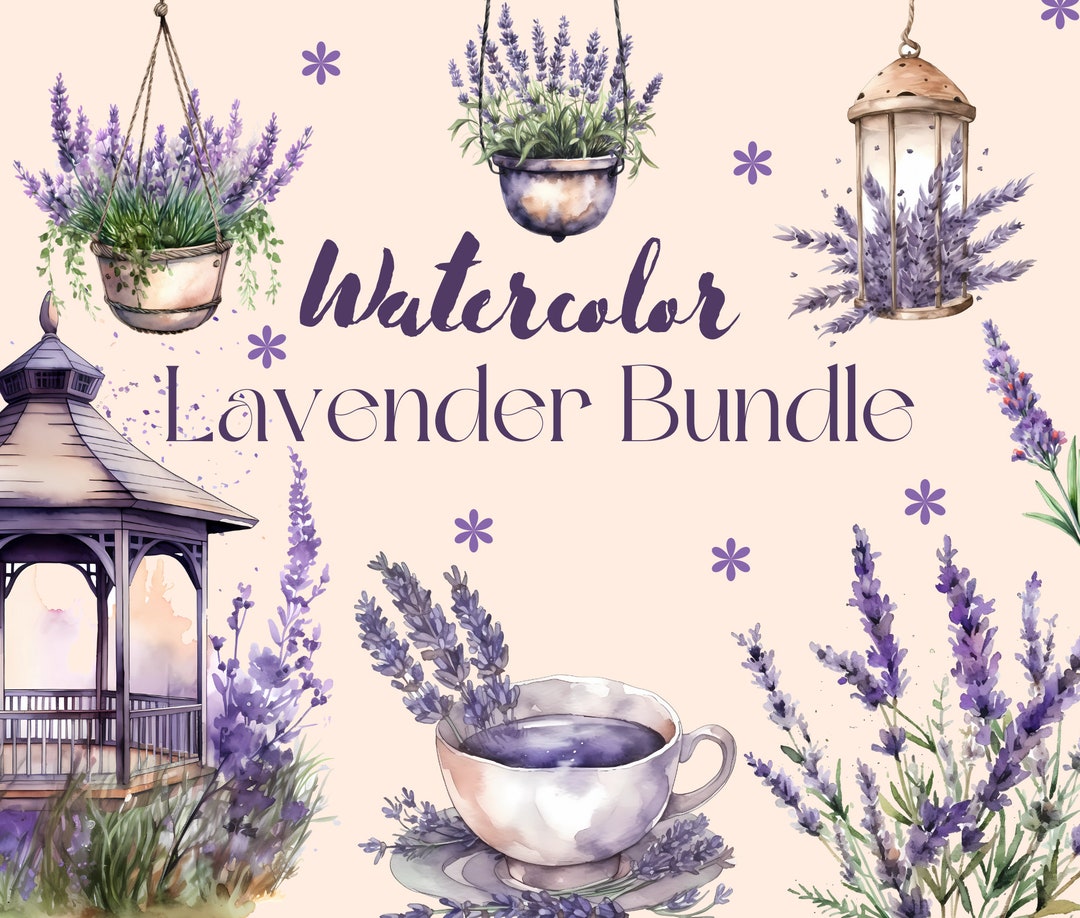 Watercolor Lavender Field Clipart Bundle | Provencal Floral Spring PNG ...