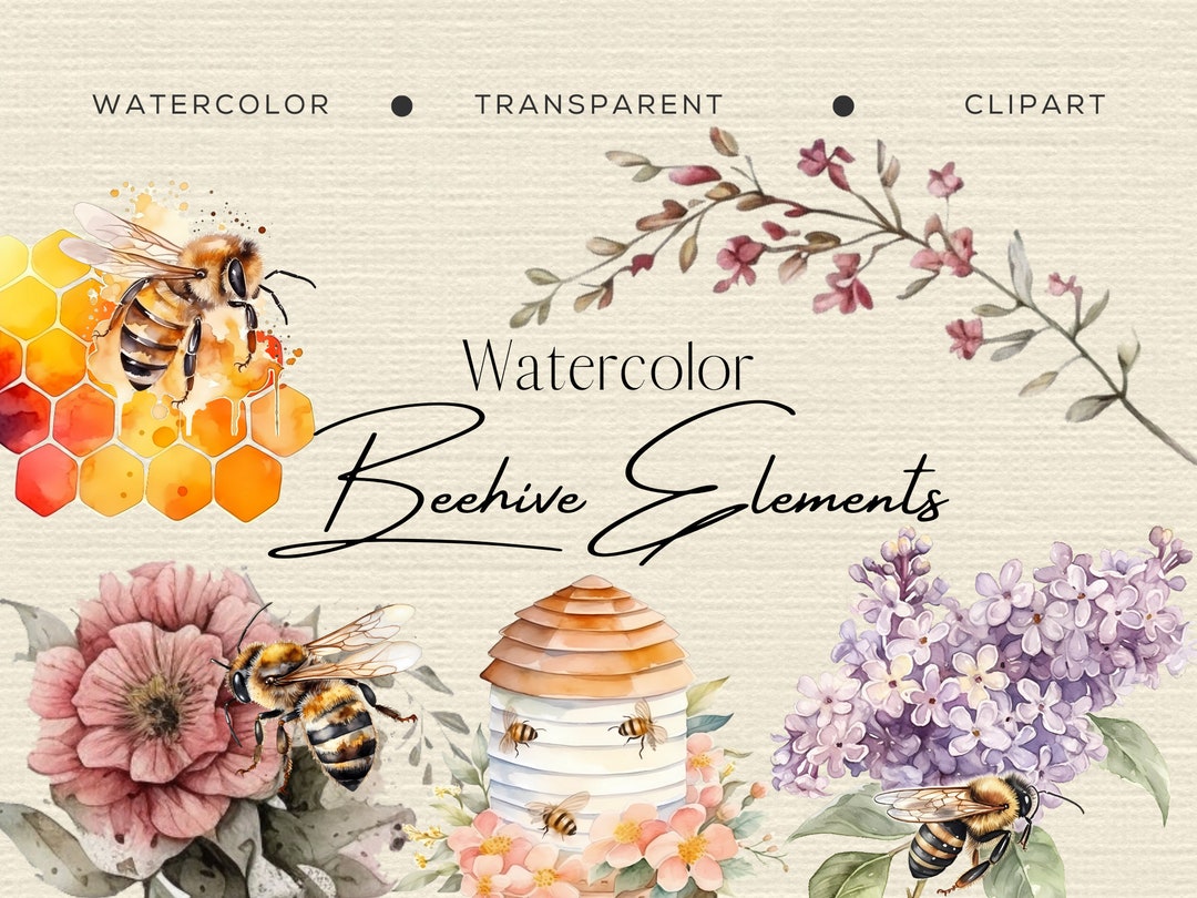 Watercolor Bee Clipart | Spring Garden Honey & Bee Art | PNG Graphics ...